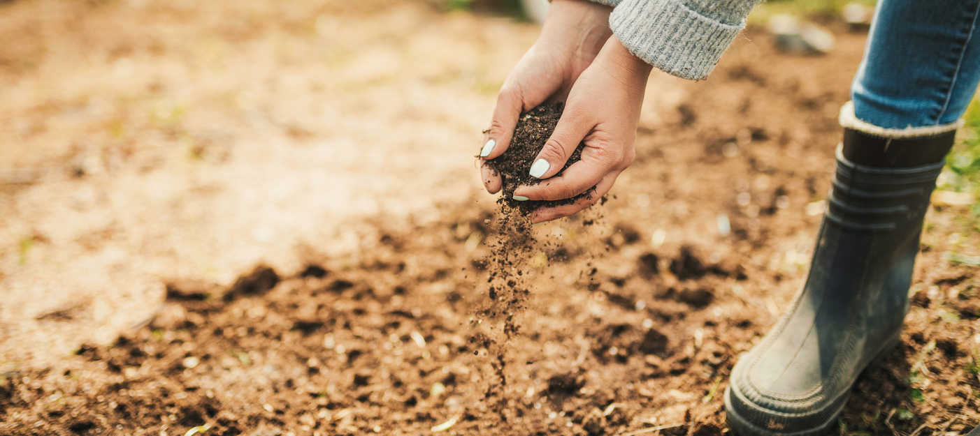 CULTIVER SON POTAGER EN FONCTION DE SON SOL