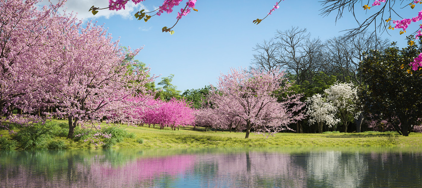 LES DIX PLUS BEAUX ARBRES ET ARBUSTES FLEURIS DU MOIS DE MARS