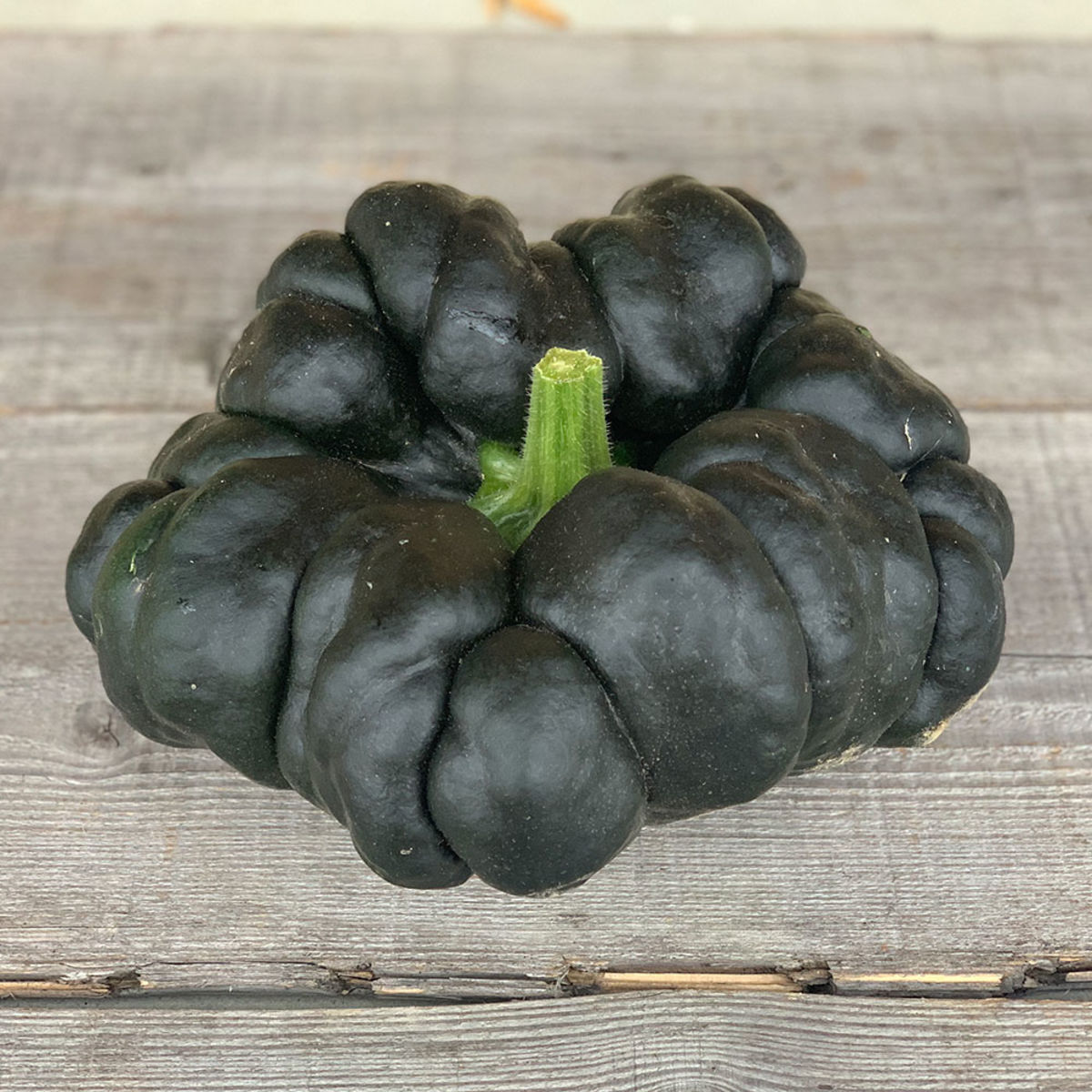 DIX CUCURBITACÉES ORIGINALES ET MÉCONNUES